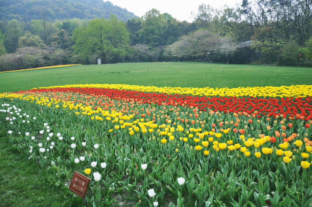 React Webpack Template Title